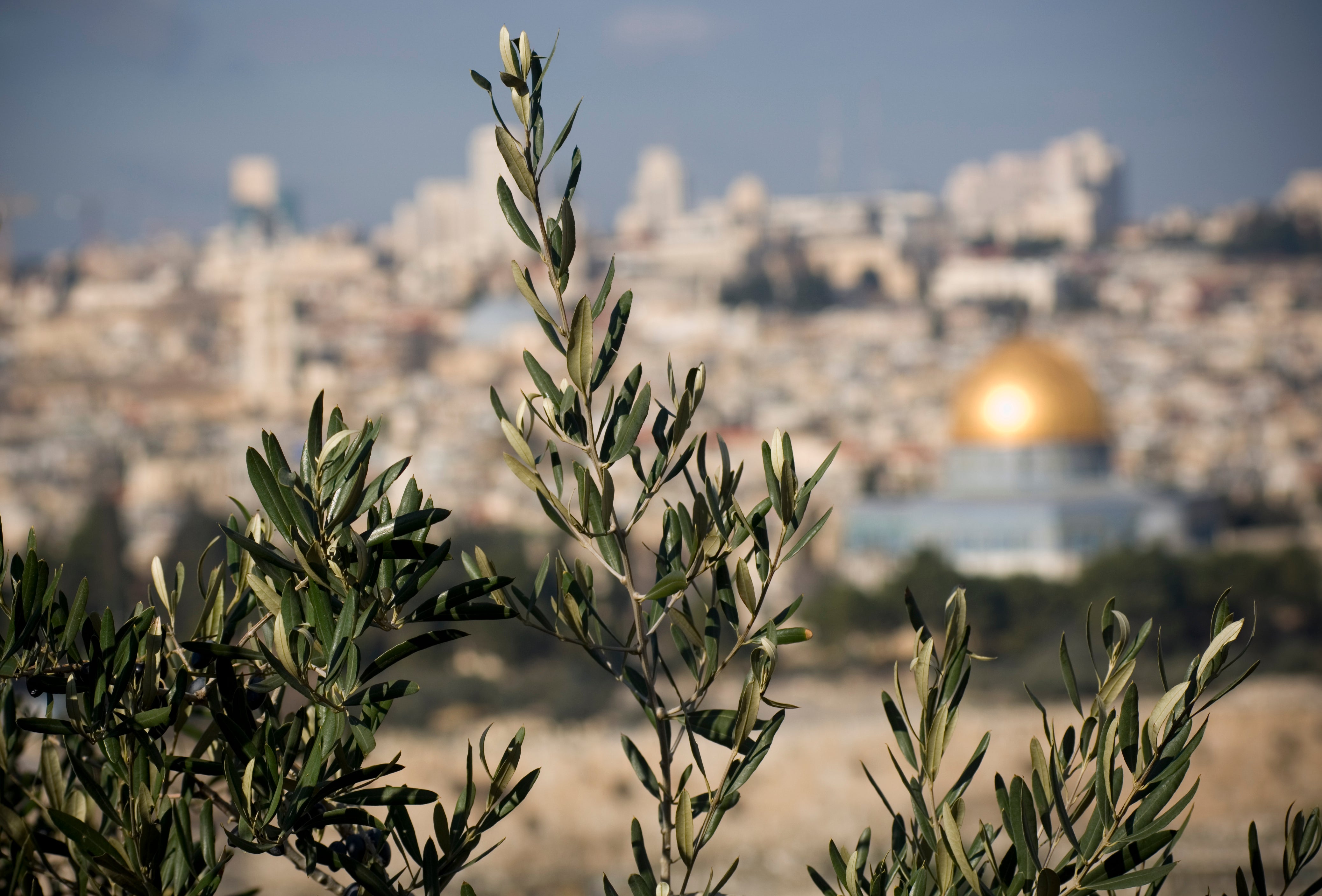 A Brief Return to Israel: Reflections and Reasons for Concern | Hudson ...