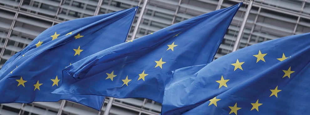 National Diversity Is the Sine Qua Non of EU Reform and European ...