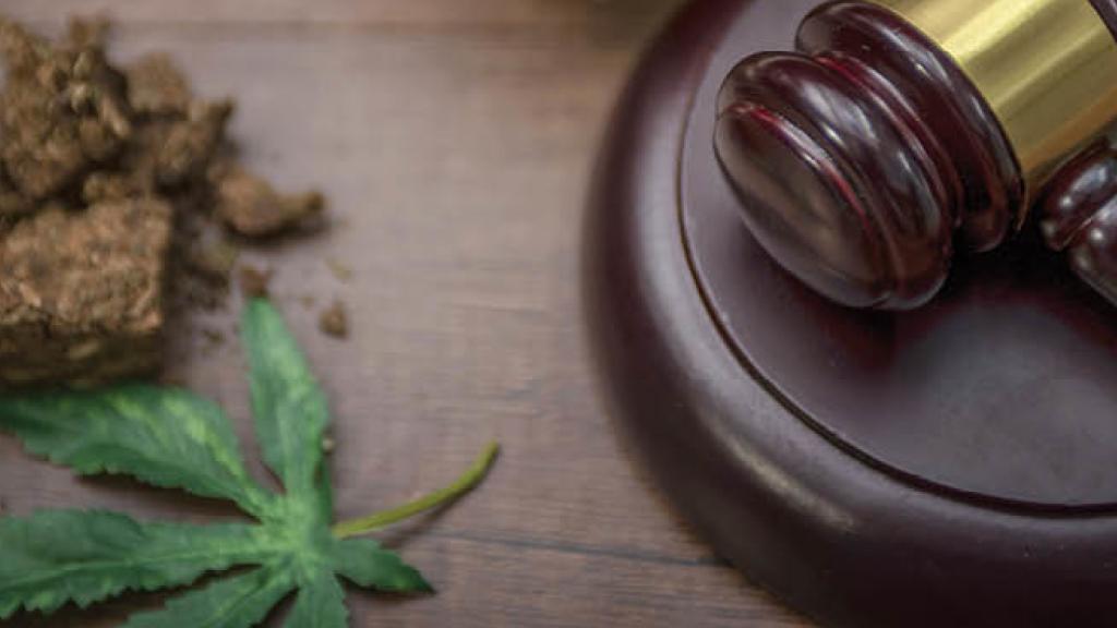 The “Colorado Experiment”: Legalized Marijuana’s Impact in Colorado ...