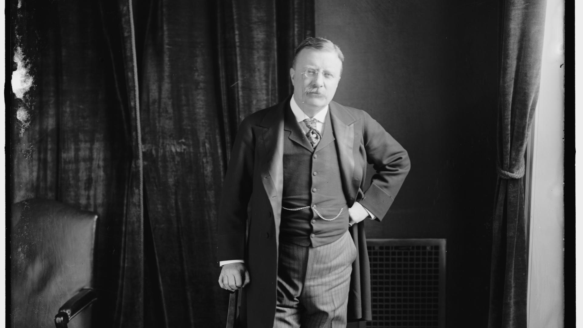 “The Loves of Theodore Roosevelt” Review: For Teddy, Family Mattered ...