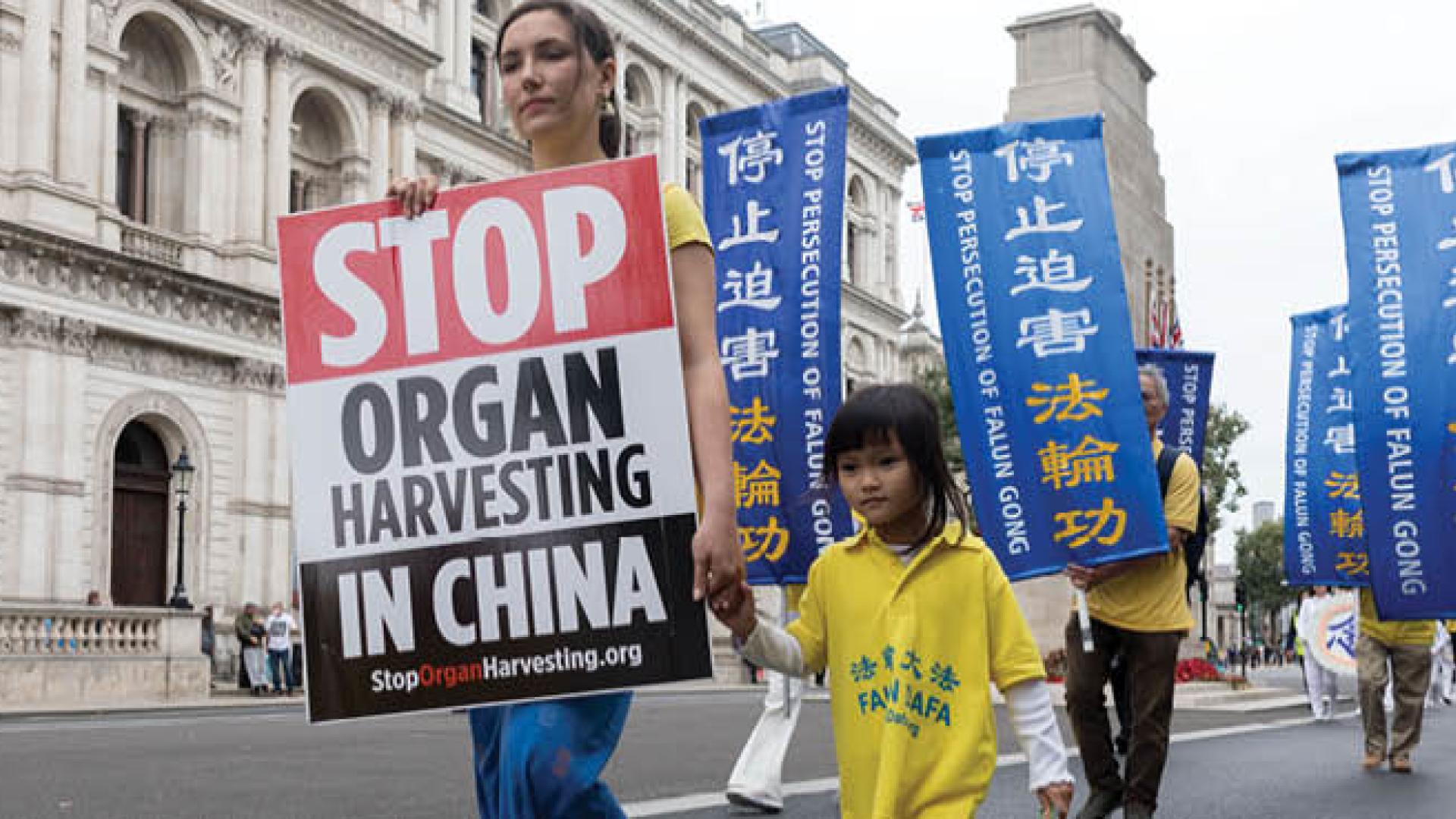 Nina Shea | Hudson