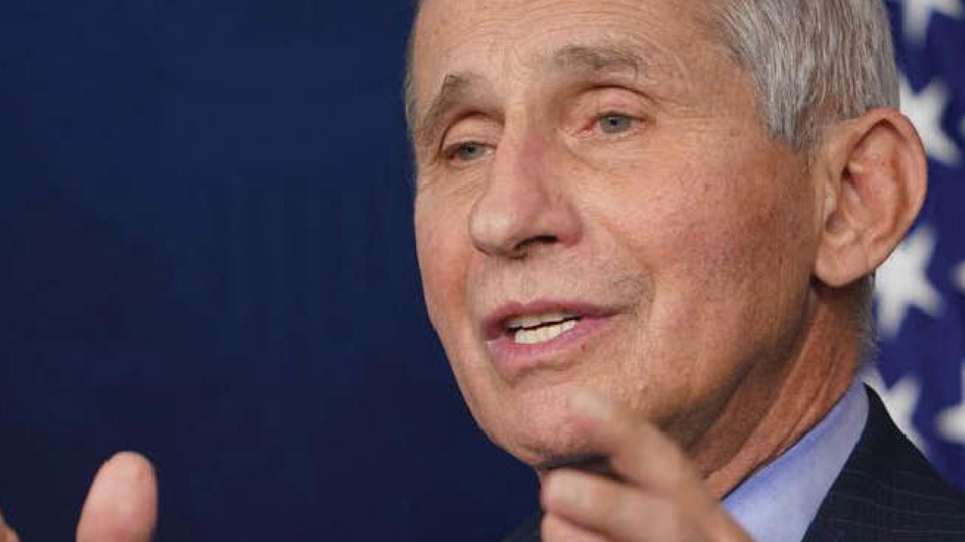 Hank Cardello | Hudson Institute