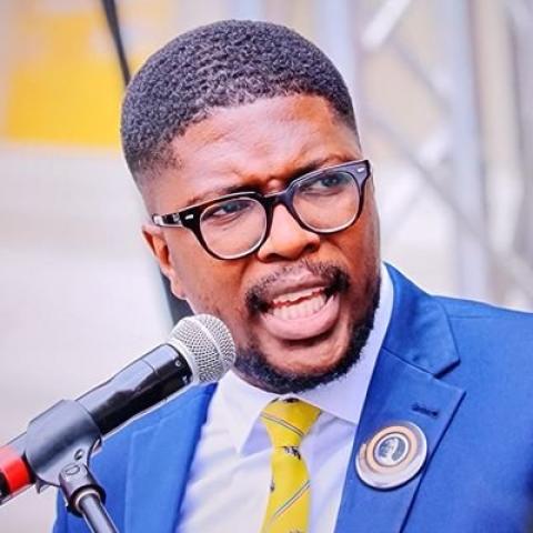 South Africa’s Historic Election: A Conversation with Inkatha Freedom ...