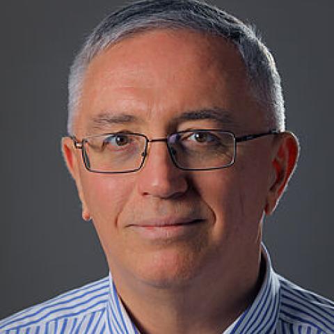Strategic Corruption, State Capture, and Sanctions Enforcement in ...