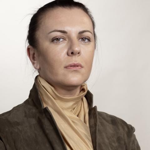 Georgia, Ukraine, and the Euro-Atlantic Community: An Update from the ...