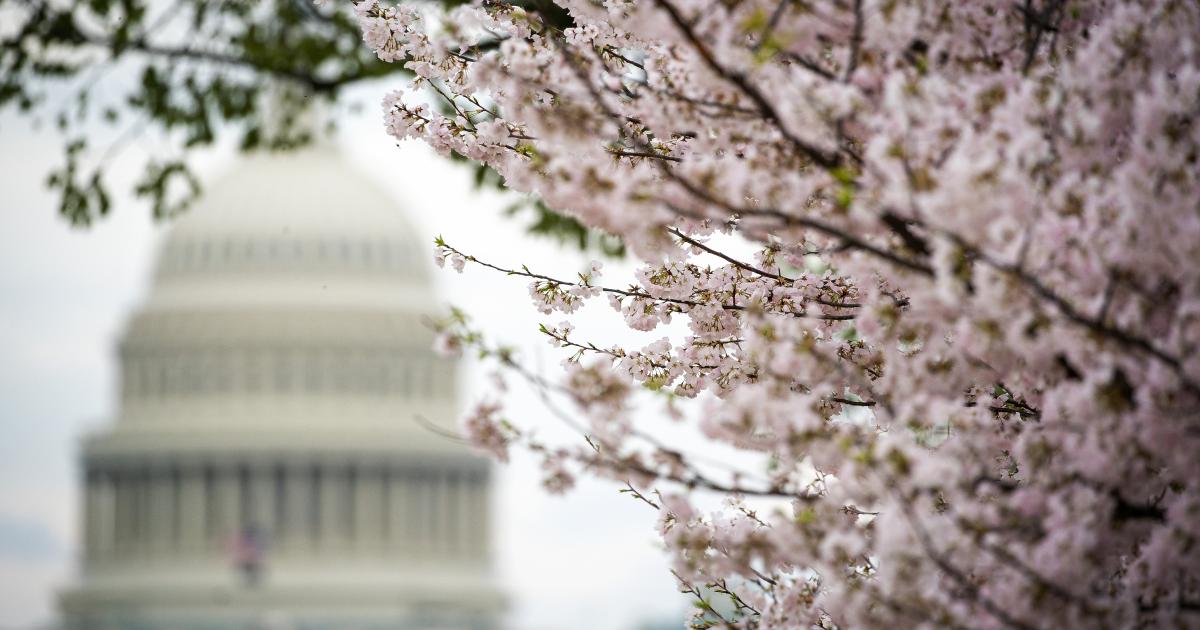 Stronger Together: The Importance of US-Japan Economic Relations ...