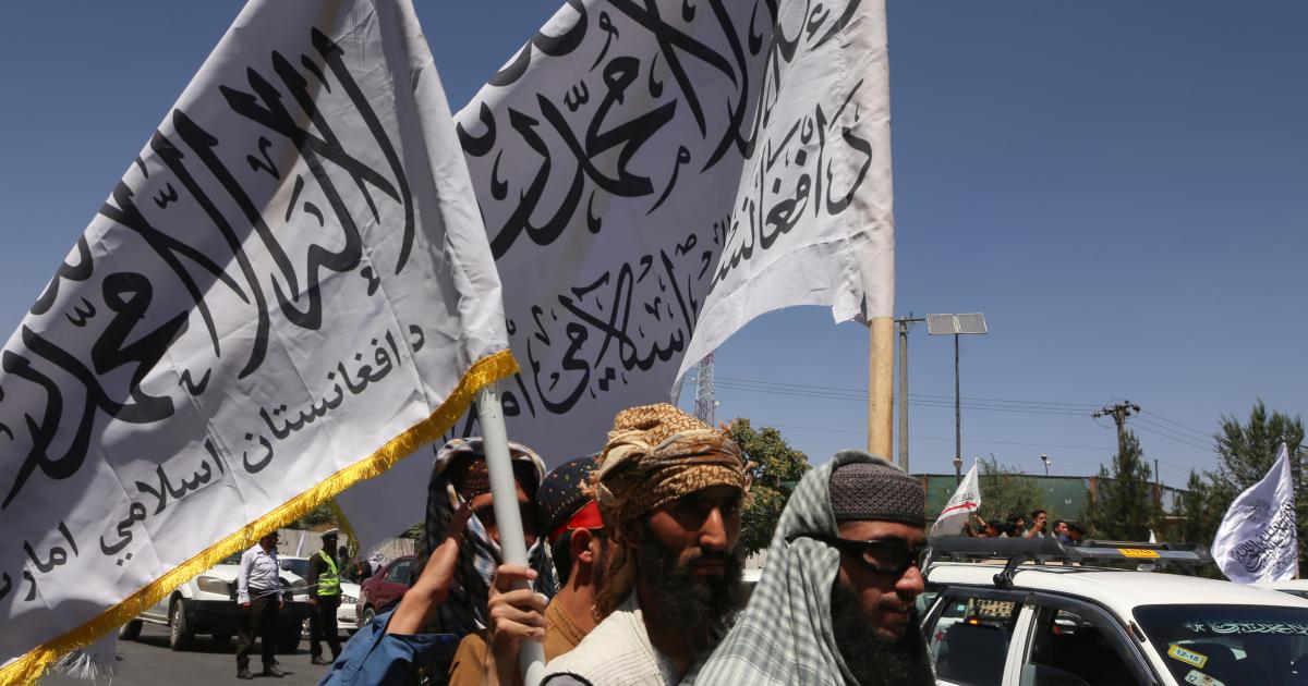 The Taliban’s Political Theory: ‘Abd al-Hakim al-Haqqani’s Vision for ...